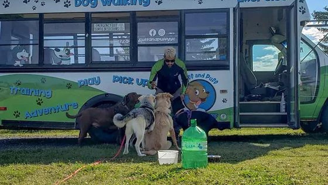 Calgary dog care business takes pets to dog park on bus
