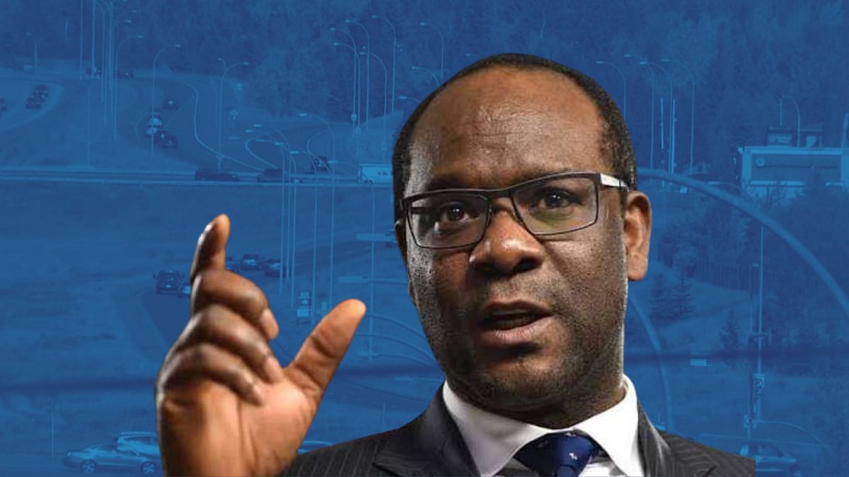 Madu out as justice minister