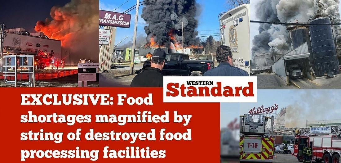 EXCLUSIVE: Food shortages magnified by string of destroyed food ...