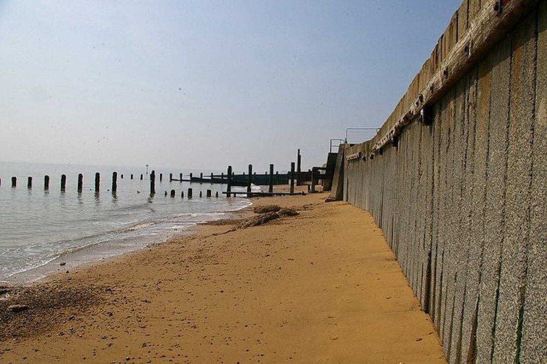 CARTER: Don't try to stop climate change, just adapt