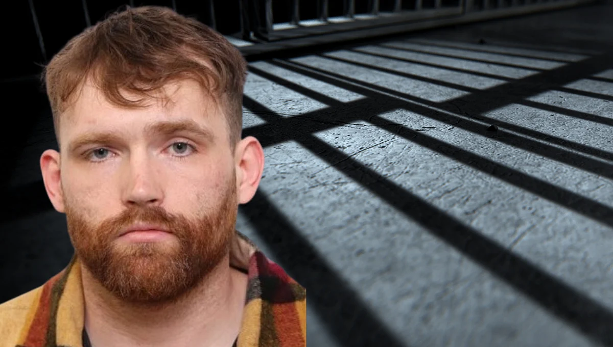Man Convicted Of Indecent Acts Reoffends Days After Release In Edmonton