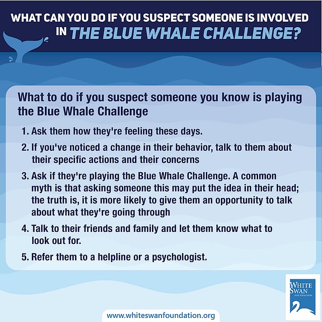 What is the blue whale challenge?
